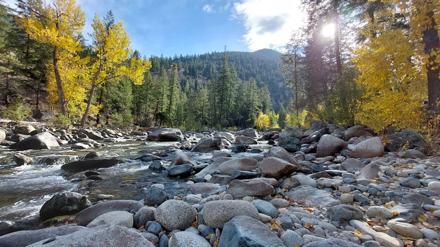 The nʔaysnúlaʔxʷ (Ashnola) sməlqmíx Protected Area - Meadowlark Nature ...